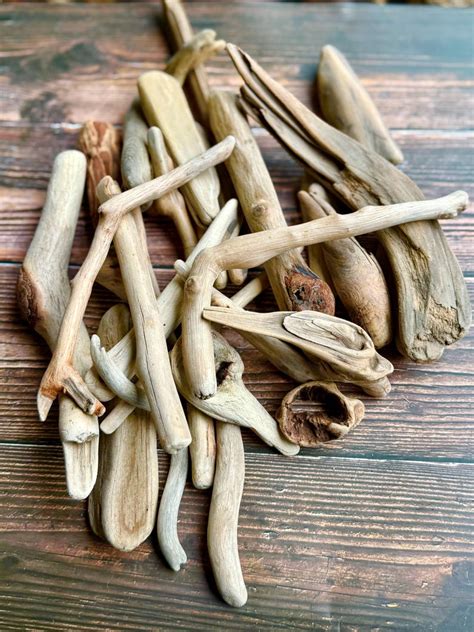Oregon Coast Driftwood 30 Small Pieces For Diy Crafts And Decor Etsy
