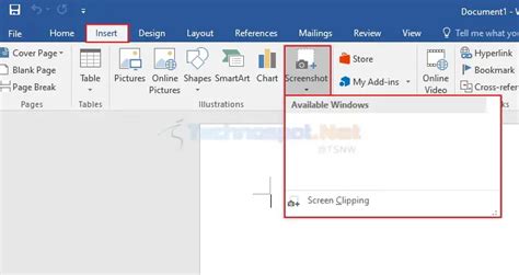 How To Take Screenshots In Word Excel PowerPoint