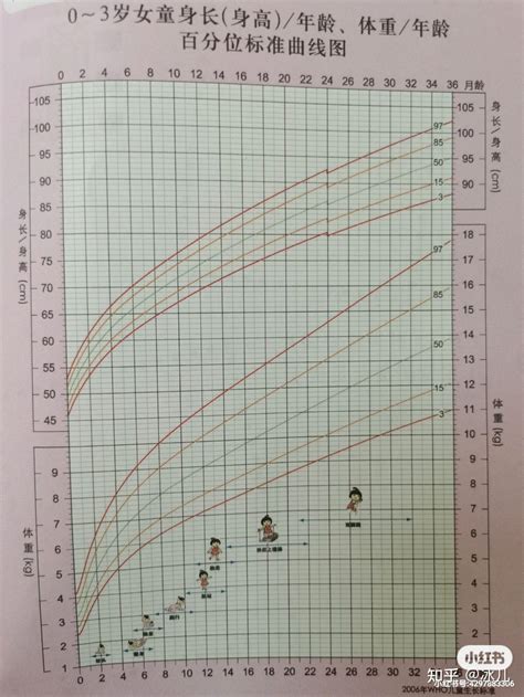 0 3岁男孩女孩生长曲线图 知乎