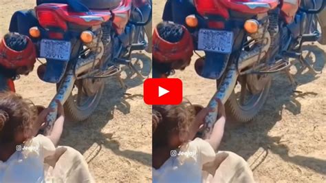 Rare Python Viral Video Watch Here Python Viral Video బైక్‌లో