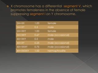XX XY Sex Determination In Plants PDF Genetics Science