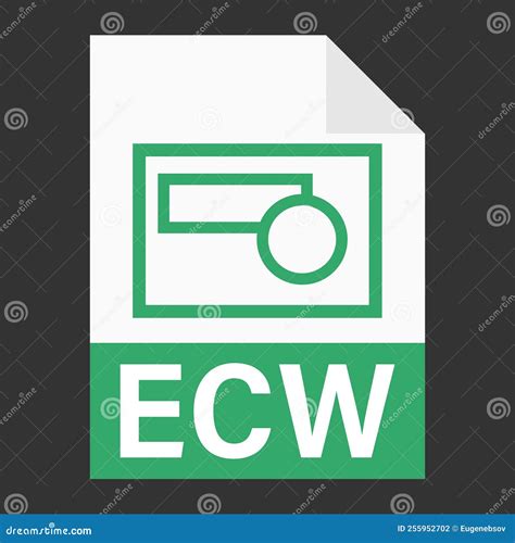Modern Flat Design Of ECW File Icon For Web Stock Vector Illustration Of Type Program 255952702
