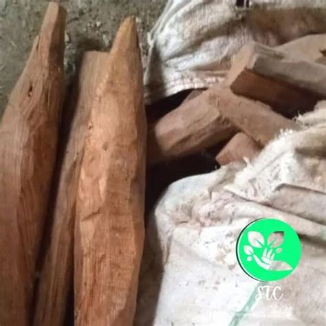 Brown Devdar Wood Havan Deodar Lakdi Cedrus Deodara Thewholesalerco Packaging Type Bag