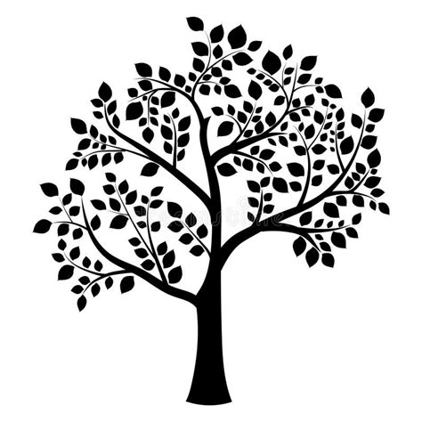 Tree Silhouette Stock Vector Illustration Of White Isolated 62352270