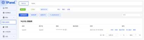 记录一个linux面板1panel 1panel 域名 csdn博客