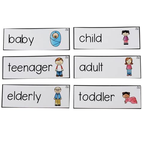 Human Reproduction Cycle