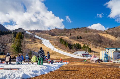 今年の冬は暖冬？ 暖冬時に注意すべき災害とは｜記事一覧｜くらし×防災メディア「防災ニッポン」読売新聞