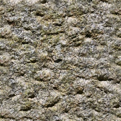 Photo Realistic Texture Of Tree Bark In High Resolution Stock Photo Image Of Seemless Moss