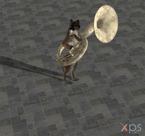 Wolf Realistic Playing Sousaphone Digital By Darepebo122 On Deviantart