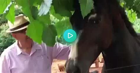 I Mean He Did Warn Him Album On Imgur