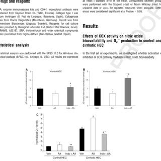 Suggested Molecular Mechanisms Between Nitric Oxide And COX Pathways In Download Scientific