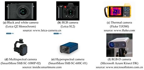 Agronomy Free Full Text Fruit Detection And Recognition Based On Deep Learning For Automatic