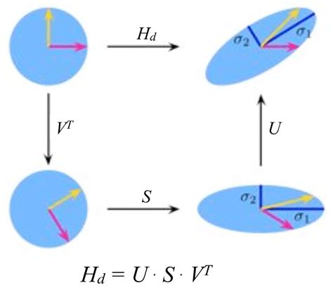 1 Geometric Interpretation Of SVD Based On The Singular Value Download Scientific Diagram