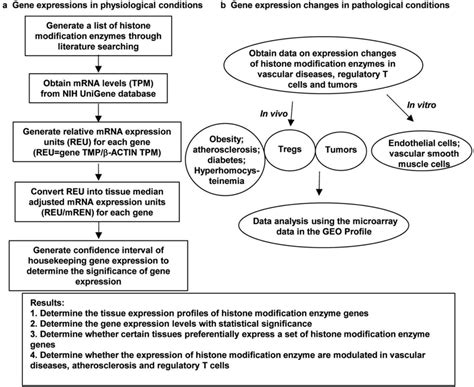 Novel Strategies Of Experimental Database Mining And Data Organizing Download Scientific Diagram