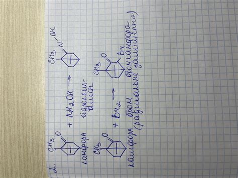 Наведіть схеми реакцій камфори з гідроксиламіном і бромом Школьные Знания Com