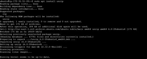 How To Install AWS CLI On Ubuntu 24 04 LTS