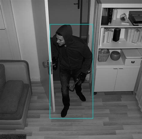 amazon facial recognition camera human detection camera netvue