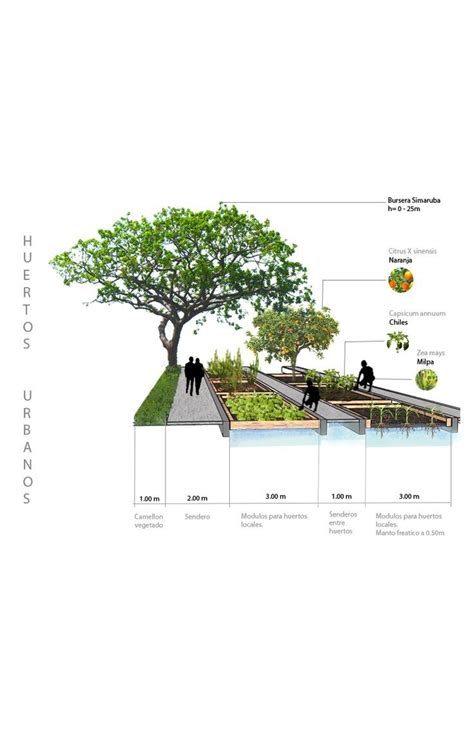 Huerto Urbano Diseño De Paisaje Corredores Verdes Arquitectura De Paisaje
