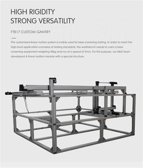 Belt Driven Actuator Linear Motion Guide System Gantry Robot Multi Axis Xyz Stage Fuyu