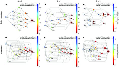 Nk Fitness Networks For Epistatic Interactions With Random Download Scientific Diagram