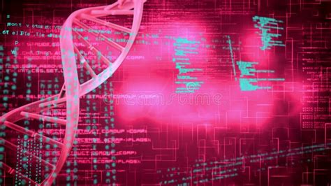 dna double helix and digital codes stock video video of cryptic