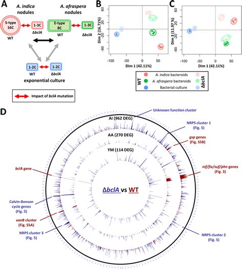 Experimental Setup And General Overview Of The Transcriptome Data Set Download Scientific