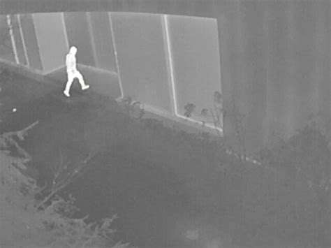 Flir Camera Objects Fsod Ivyg Object Detection Dataset By Roboflow20vlold