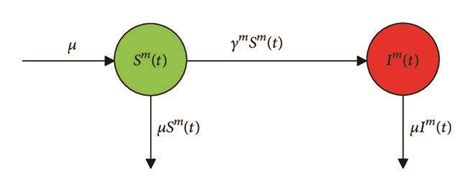 The Schematic Diagram Of Node Based Sirs Network Model With Media A
