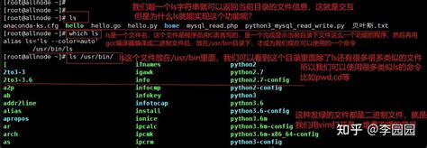 Linux学习笔记(二十一):shell编程 知乎 Linux学习笔记(二十一):shell编程 知乎