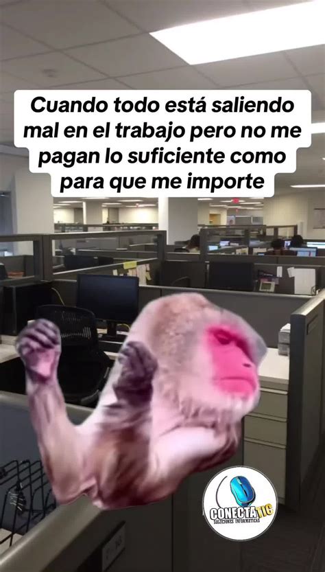 Conecta Tic Reiniciando El Servidor Programmer Programadores