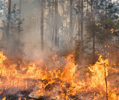 Building Resilient Supply Chains Mitigating Risks And Disruptions In Manufacturing The Owl