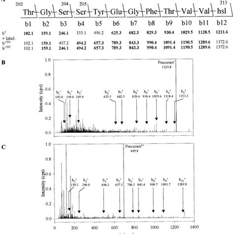 Hplc Elution Pattern Of Cnbr Peptide Fragments Of Labeled Solid Line Download Scientific