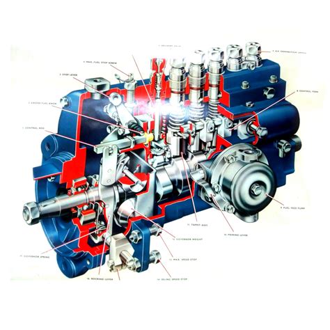 Diesel Injection Pump Diagram At Walter Pemberton Blog