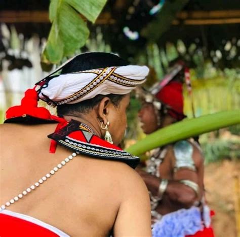 උඩරට බෙර වාදකය