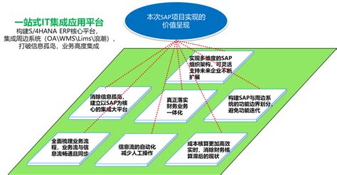 制药集团企业数字化转型sap蓝图解决方案参考 集团数字化转型sap解决方案 Csdn博客