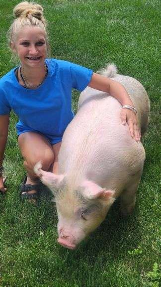 Andreana Hiler North Auburn Hustlers Breeders World