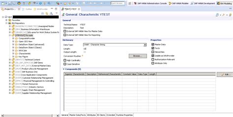 How To Create And Maintain Info Objects Using Ecli Sap Community