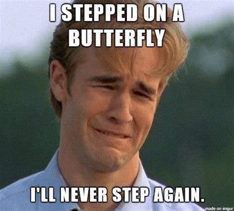 The Butterfly Effect Rmemes
