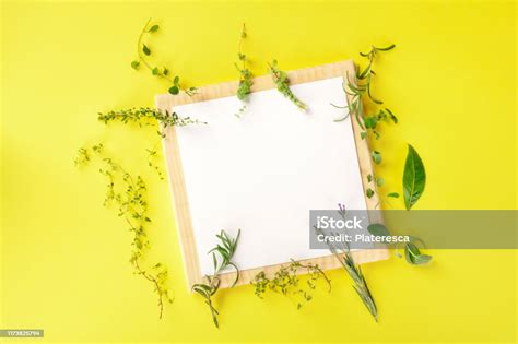 레시피 디자인 템플릿 복사 공간이있는 노란색 배경의 상단에서 촬영 한 향기로운 요리 허브가있는 클립 보드 노랑에 대한 스톡 사진 및 기타 이미지 Istock