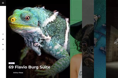 Tulen Free Bootstrap Photography Html Css Template