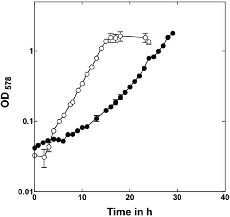 1 Growth Curves Of E Coli Wild Type And Murr Deletion Strain On Download Scientific Diagram
