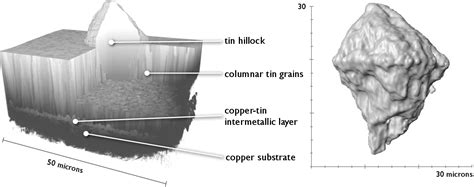 Figure 1 From Image Processing And Quantification In Fib Reconstuctions Tin Whisker And Hillock