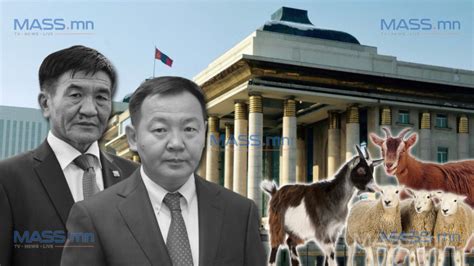 Тансаг зэрэглэлийн амбаартай Ц Нямдоржийн хүү Н Анхбаяр аавынхаа шийрийг хатаана