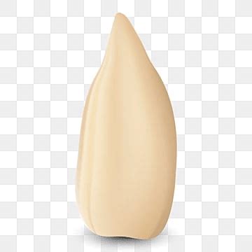 Kernel Vector PNG Vector PSD And Clipart With Transparent Background For Free Download Pngtree