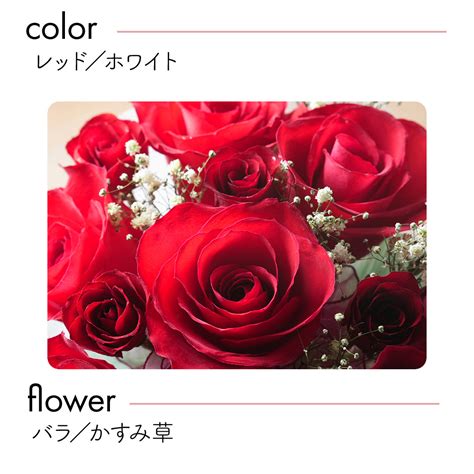 Passion Sui L Xb C レンデフロール