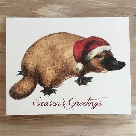 Platypus Santa Christmas Card Seasons Greetings Cute Funny Quirky