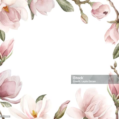 연한 분홍색 목련 꽃 새싹 가지 및 잎 봄 꽃의 프레임입니다 인쇄용 꽃 수채화 그림 0명에 대한 스톡 벡터 아트 및 기타 이미지