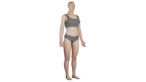 Interactive 3d Human Body Models Voka