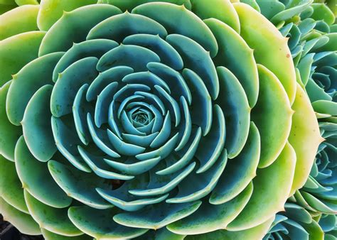 Boundless Compassion Retreats And Events — Boundless Compassion