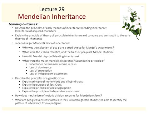 Lecture 29 Mendelianinheritance Lecture 29 Mendelian Inheritance Learning Outcomes Istock